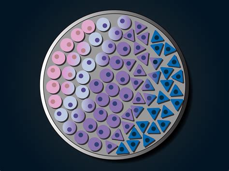 Cancer Cell Lines Evolve In Ways That Affect How They Respond To Drugs