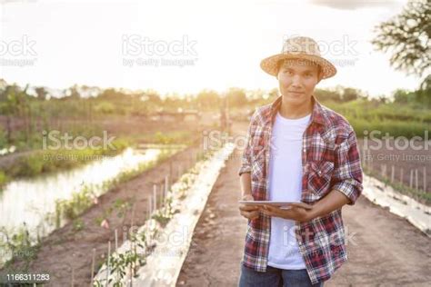 그의 유기농 농장에서 태블릿을 들고 아시아 스마트 농부 기술 및 농업 개념 농부에 대한 스톡 사진 및 기타 이미지 농부 농업 농장 Istock