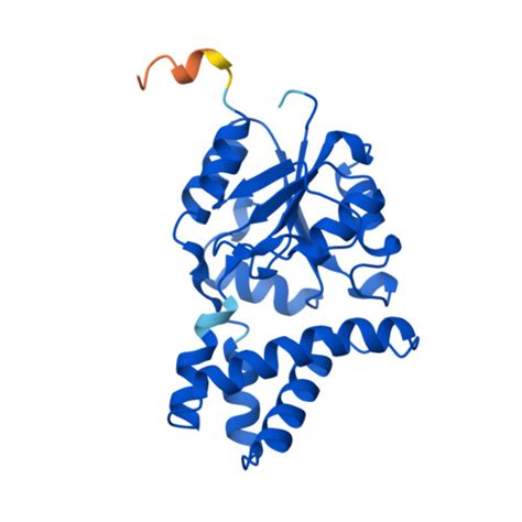 Rcsb Pdb Af Afq53464f1 Computed Structure Model Of S 2 Haloacid Dehalogenase