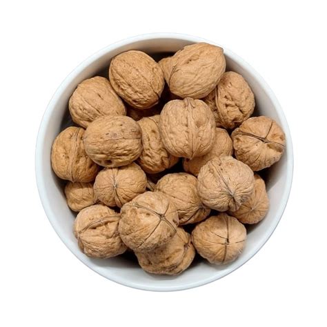Walnuts In Shell Queenslander Aviaries