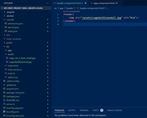 Javascript Why Are Images Not Displayed Using Angular And Visual