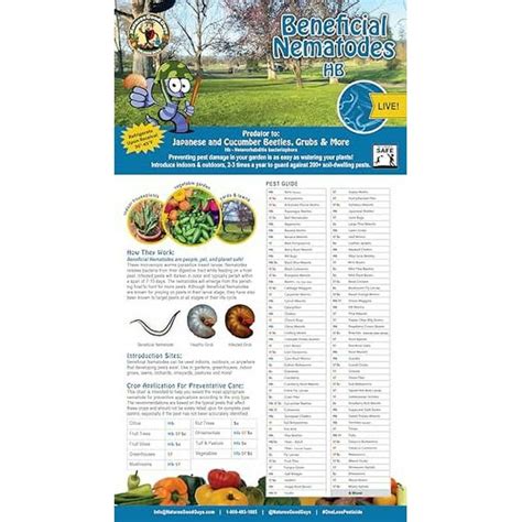 Beneficial Nematode Grub