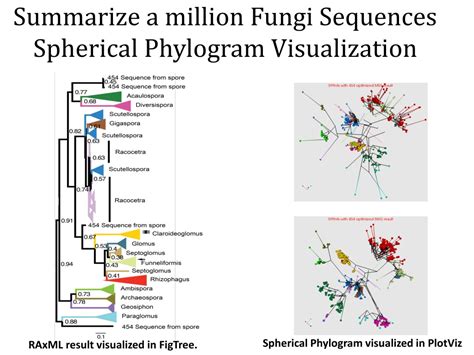 Ppt Dacidr For Gene Analysis Clustering Reduction And Alignment