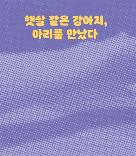 알라딘 미리보기 아리둥절 매일 행복을 만나