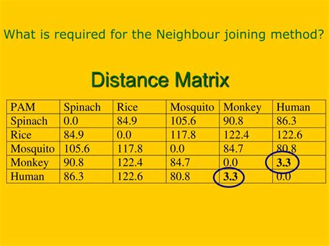 Ppt Neighbour Joining Method Powerpoint Presentation Free Download