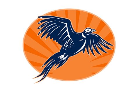 Pheasant Bird Fowl Flying Cartoon Custom Designed Illustrations