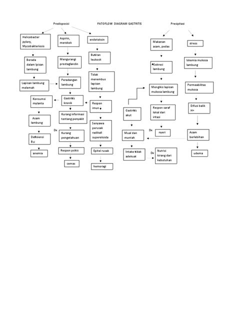 Patoflow Diagram Gastritis Pdf