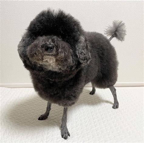 A Funky Lil Fella Rpaymoneywubby