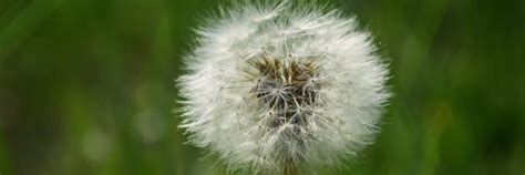 Brian Klepper On Linkedin How To Choose A Fertility Vendor