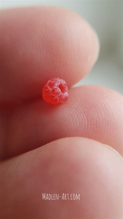 Miniatures Tiny Objects Small Things