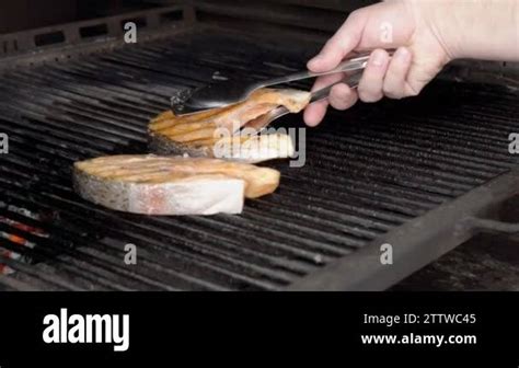 Salmon Entrees Stock Videos And Footage Hd And 4k Video Clips Alamy