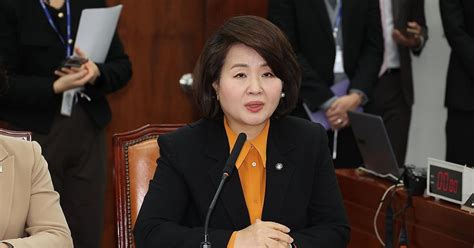 발언하는 야당 간사 민주당 이수진 의원
