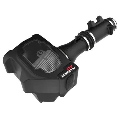 Afe Momentum Gt Pro Dry S Cold Air Intake Ram 1500 30l Fasthemis