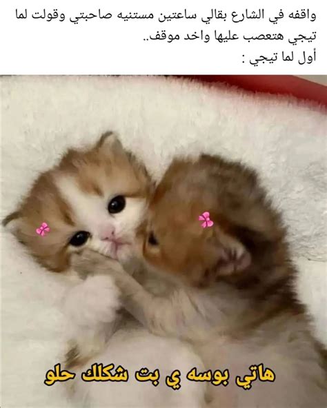 Instagram Photo By ‎ رَرن🦋 ‎ • Dec 12 2024 At 524 Am
