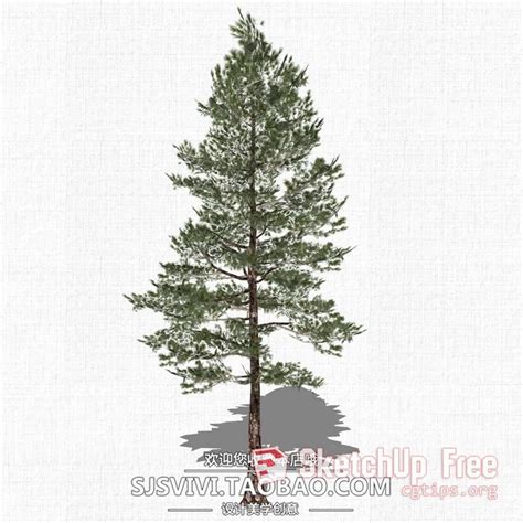 828 Tree Sketchup Model Free Download Tree Silhouette Sketchup Model