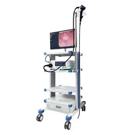 Flexible Endoscopy Machine At ₹ 159999 In New Delhi Id 2855582429888