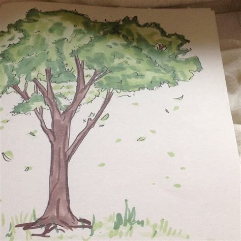 How To Draw Trees A Step By Step Guide