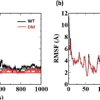 Root Mean Square Deviations RMSD And Root Mean Square Fluctuation