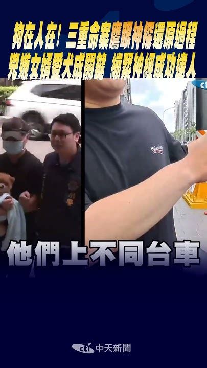 Shorts 狗在人在 三重命案鷹眼神探還原過程 兇嫌女婿愛犬成關鍵 繃緊神經成功逮人 Youtube