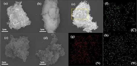 SEM Image Of A G C3N4 B W2N3 C G C3N4 0 005 W2N3 D G C3N4 0 1 W2N3 Download Scientific