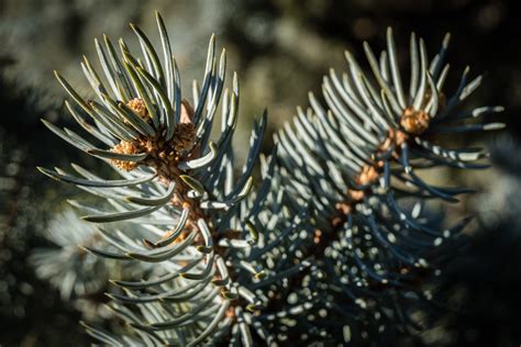 Untitled Charles G Haacker Flickr