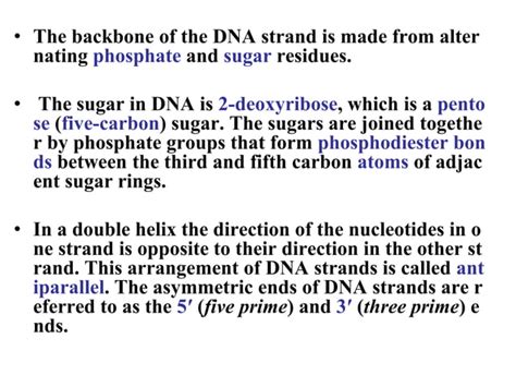 Nucleotides 1 Pptx Presentation On Nucleotides Structure Ppt