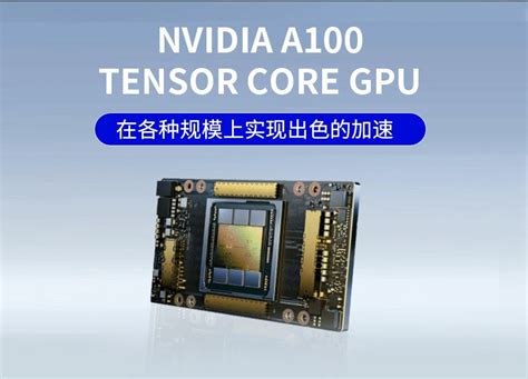 英伟达nvidia Tesla A100 40g专业计算gpu显卡ai人工智能显卡40g 阿里巴巴
