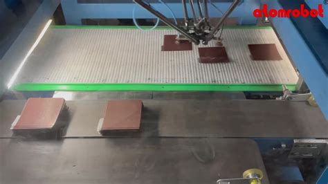 Leo Zhang On Linkedin Pickandplace Automationsolutions Casepacking Trayloading…