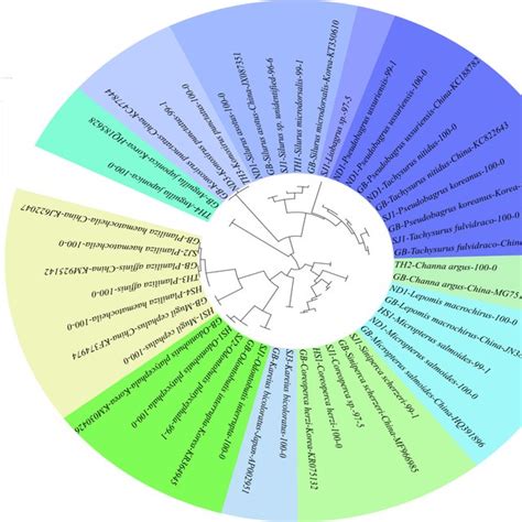 Phylogenetic Tree Analysis Of Fish Species Under The Other Families Of