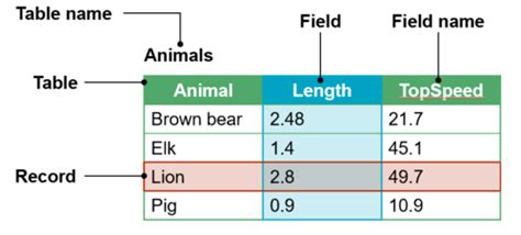 Sql Databases Flashcards Quizlet