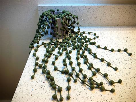 3d printed string of pearls articulating plant etsy