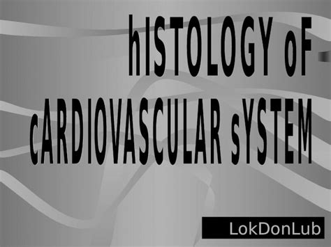 Ppt Histology Of Cardiovascular System Histologi Dokumentips