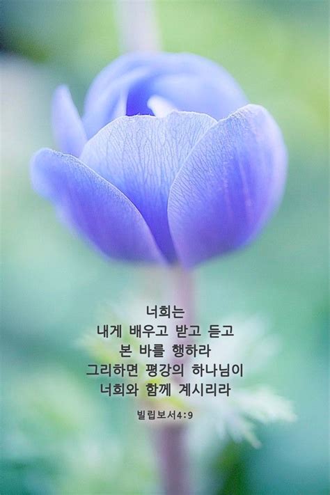 너희는 내게 배우고… 성경 성경구절 성경 삶의 교훈 인용구 성경 구절