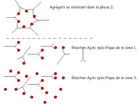 Licence Immunologie Chapitre Techniques Immunologiques Biodeug