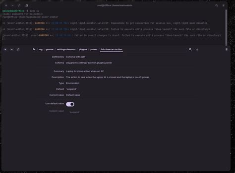 Solved By Op Zorin 17 Cannot Prevent My Computer From Suspending