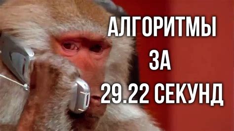 Вся суть алгоритмов в программировании Youtube