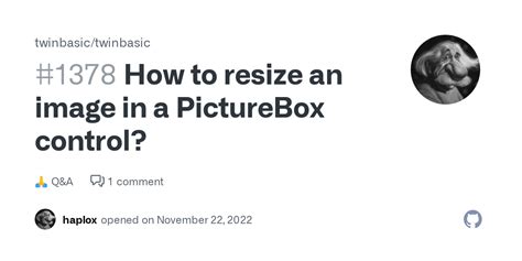 How To Resize An Image In A PictureBox Control Twinbasic Twinbasic