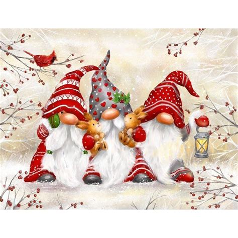 NAIMOER Gnomes Diamond Art Kits For Adults Cardinal Diamond Art Kits