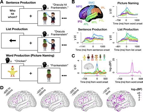 Syntax On The Brain Researchers Map How We Build Sentences Word By Word Syntax On The Brain Researchers Map How We Build Sentences Word By Word