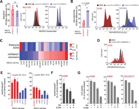 Hormad1 Is A Negative Prognostic Indicator In Lung Adenocarcinoma And
