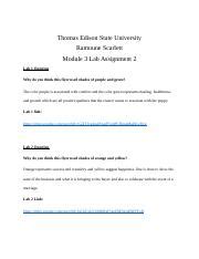 CIS Lab 2 Word Assignment Docx Thomas Edison State University Ramoune Scarlett Module 3 Lab