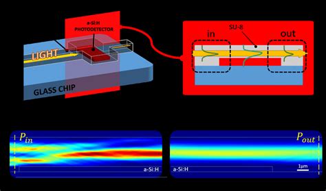 Simulated Optical Coupling Scenario A Longitudinal Section Of The Download Scientific
