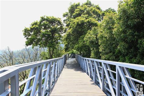 新北五股景點│觀音山林梢步道，800公尺空中步道，親子簡單走 可大王愛旅行