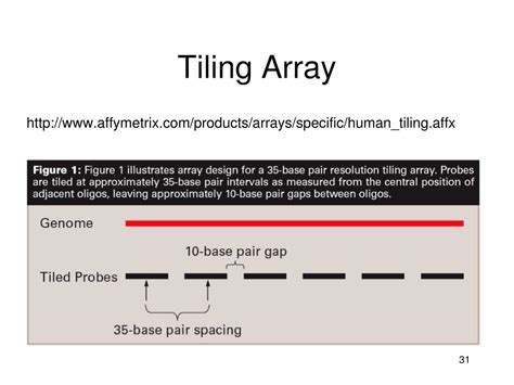 ppt expression analysis platforms powerpoint presentation free