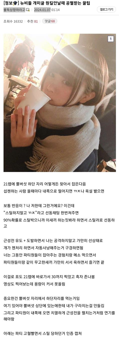 메이플랜드 육성법 근황 포텐 터짐 최신순 에펨코리아