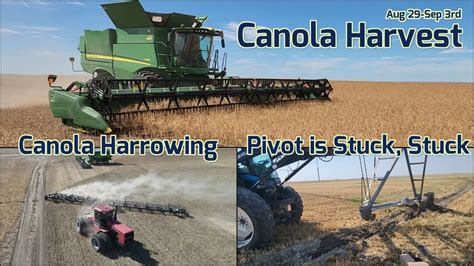 Harvesting Canola Harrowing Canola And The Pivot Gets Tracks August