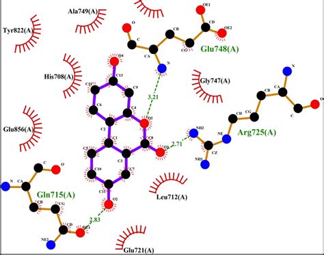 The Interactions Of Urolithin A And α Glucosidase Green Dashed Lines