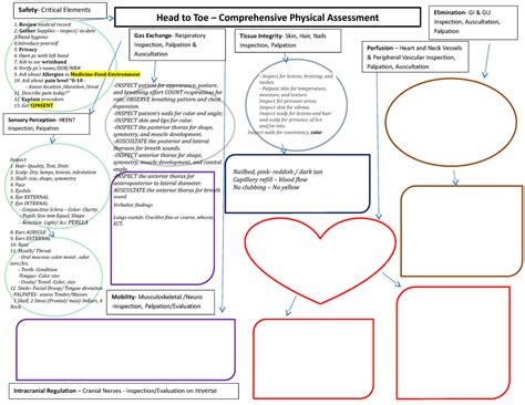 Head To Toe Physical Assessment Concept Map Template F Ears Auricle