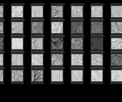 Artstation 100 Organic Leaf Displacement Maps 4k Tileable