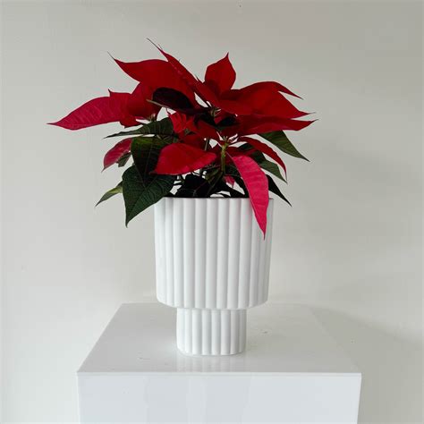 Angus Celeste Modular Stack White The Flower Shed
